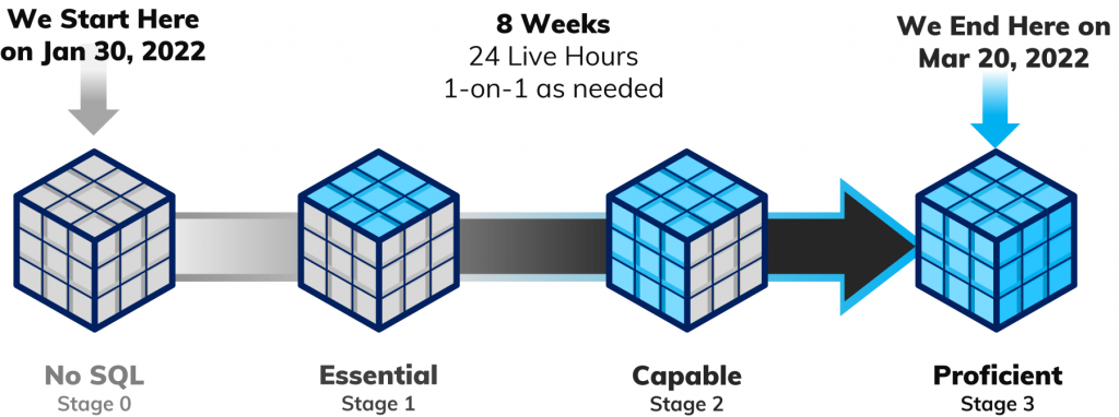 SQL For Business Analysts