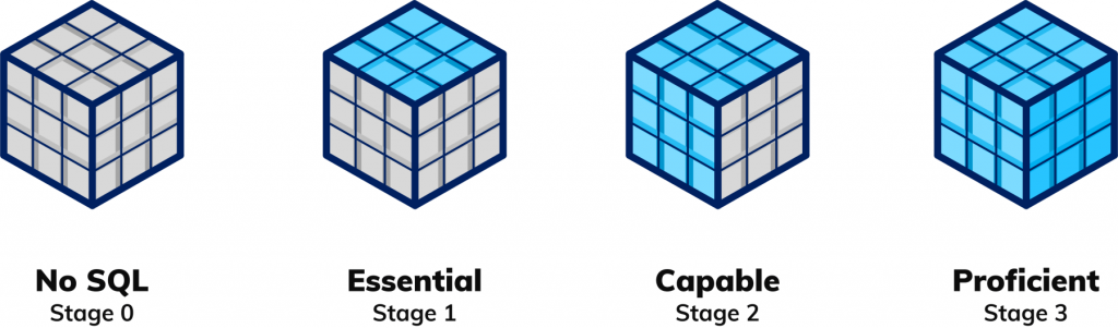 SQL For Business Analysts